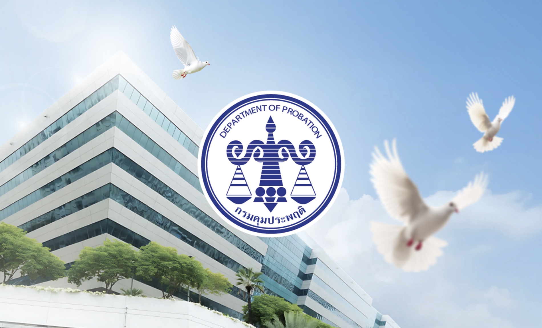 Department of Probation